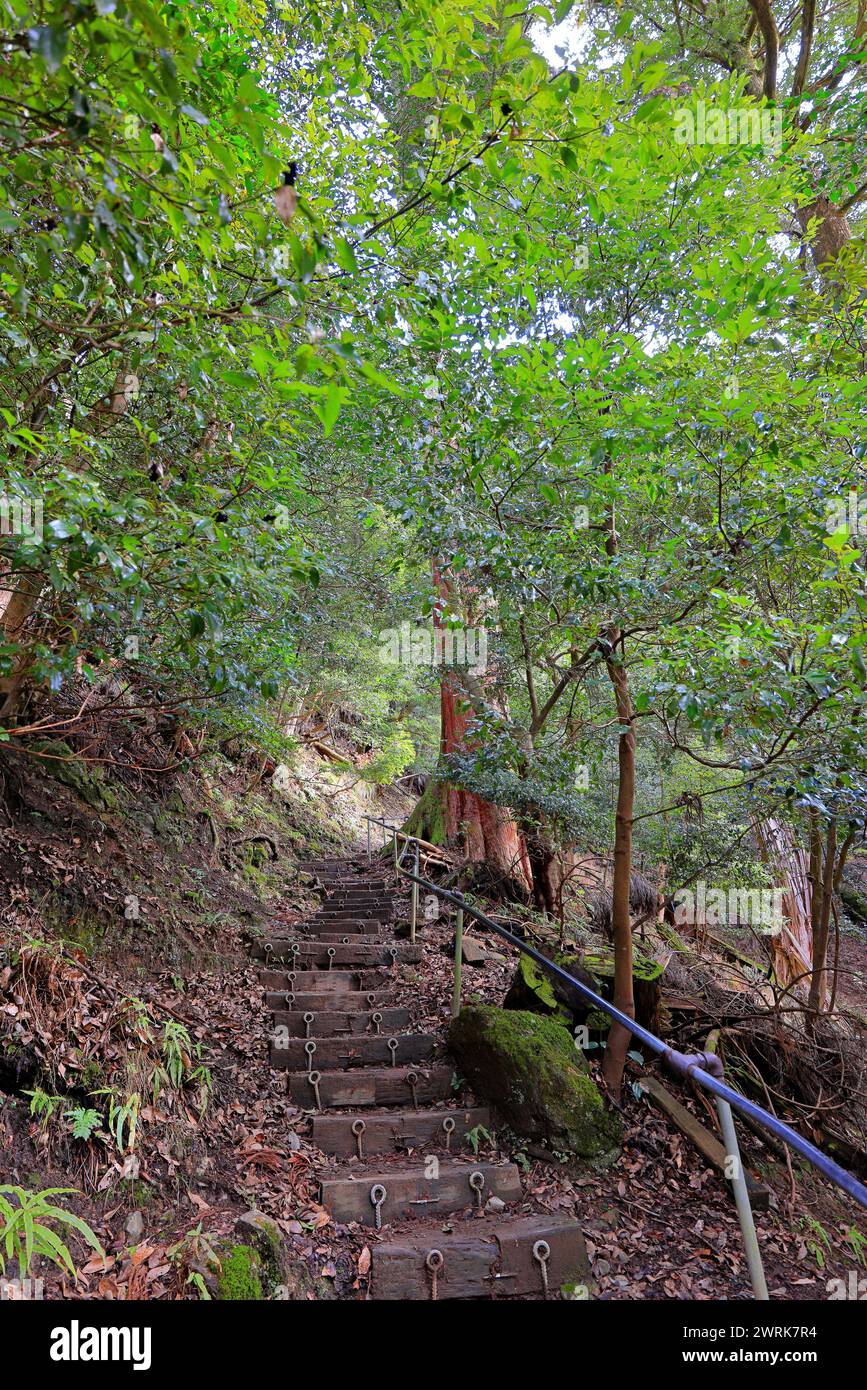 Mountain path between Kurama-dera Temple and Kifune Shrine at ...