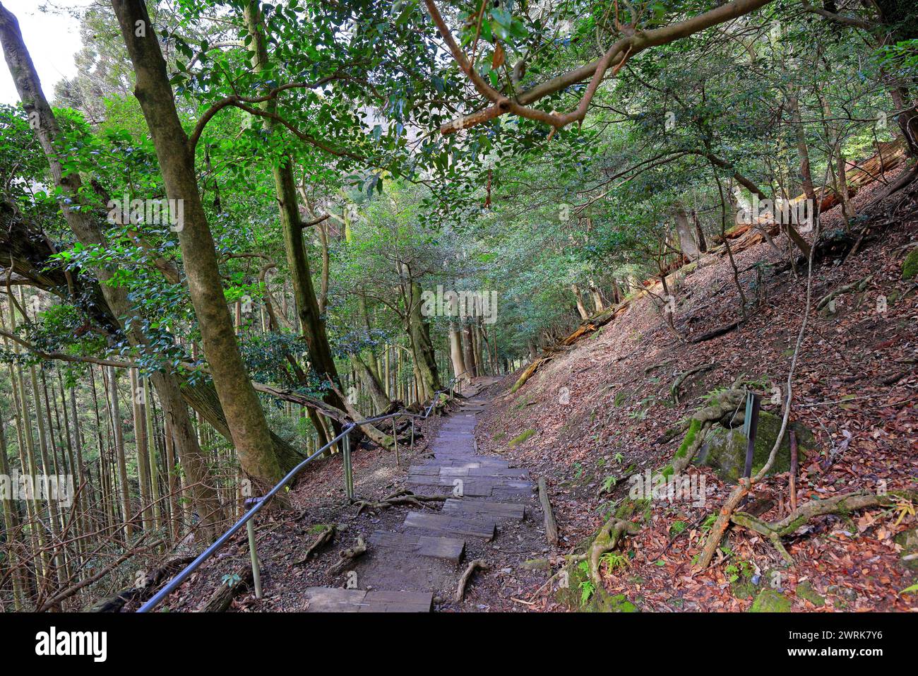 Mountain path between Kurama-dera Temple and Kifune Shrine at ...