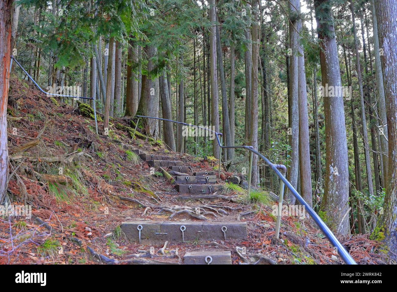 Mountain path between Kurama-dera Temple and Kifune Shrine at ...