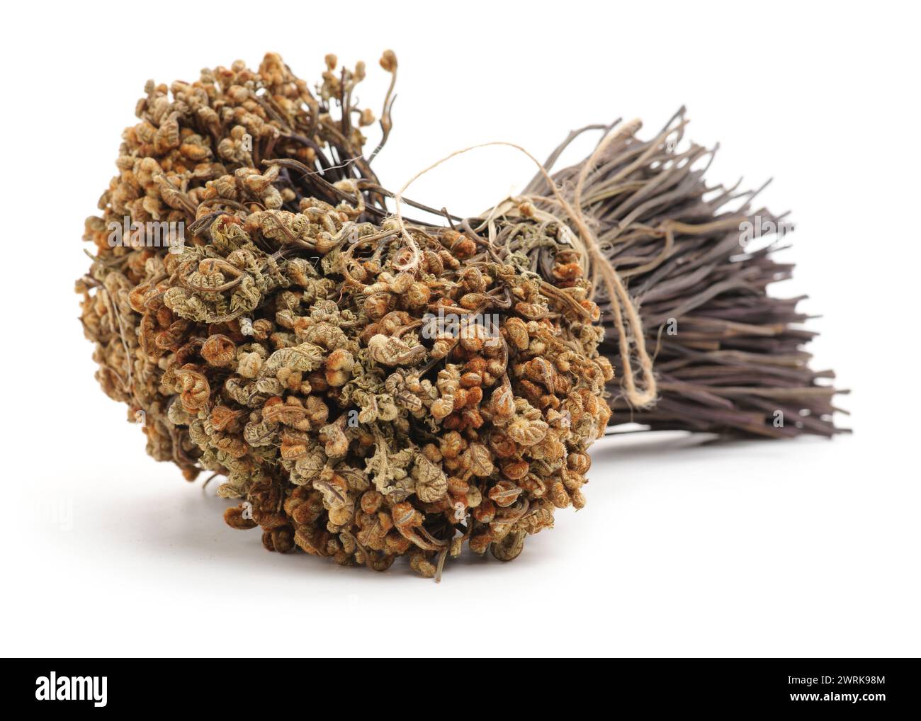Dry fern bracken on white background Stock Photo - Alamy