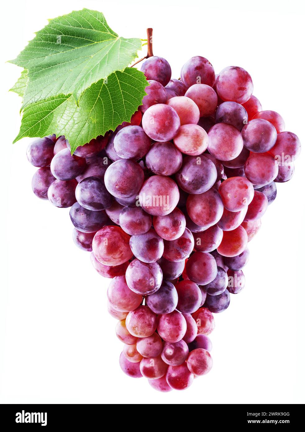 Ripe red table grape. Cluster with leaves isolated on white background ...