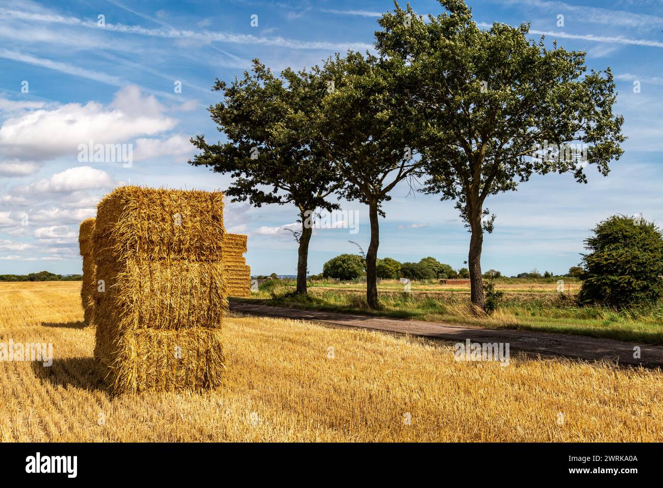 A rural Kent farm landscape after harvest Stock Photo - Alamy