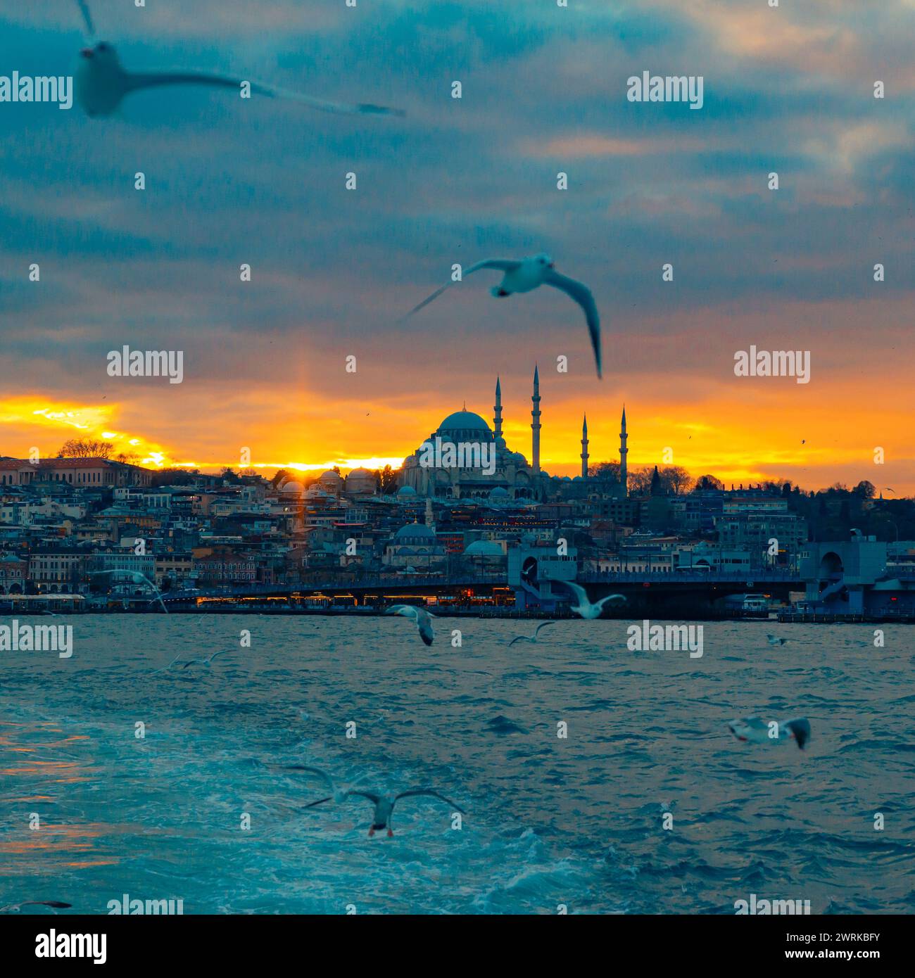 Istanbul background square format photo. Mosque and seagulls at sunset ...