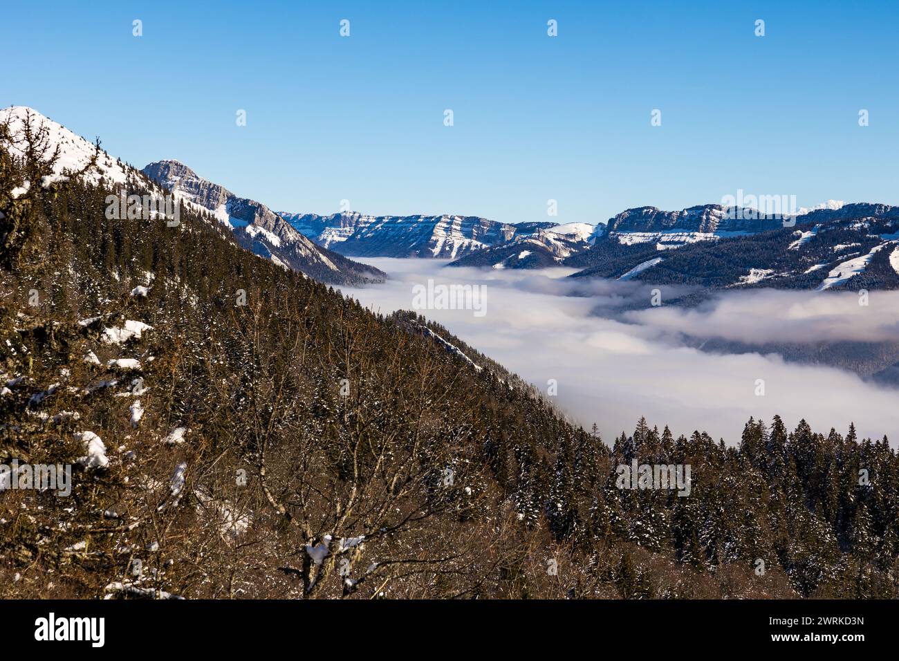 Mer de nuages sur le Massif de la Chartreuse depuis le sommet enneigé ...
