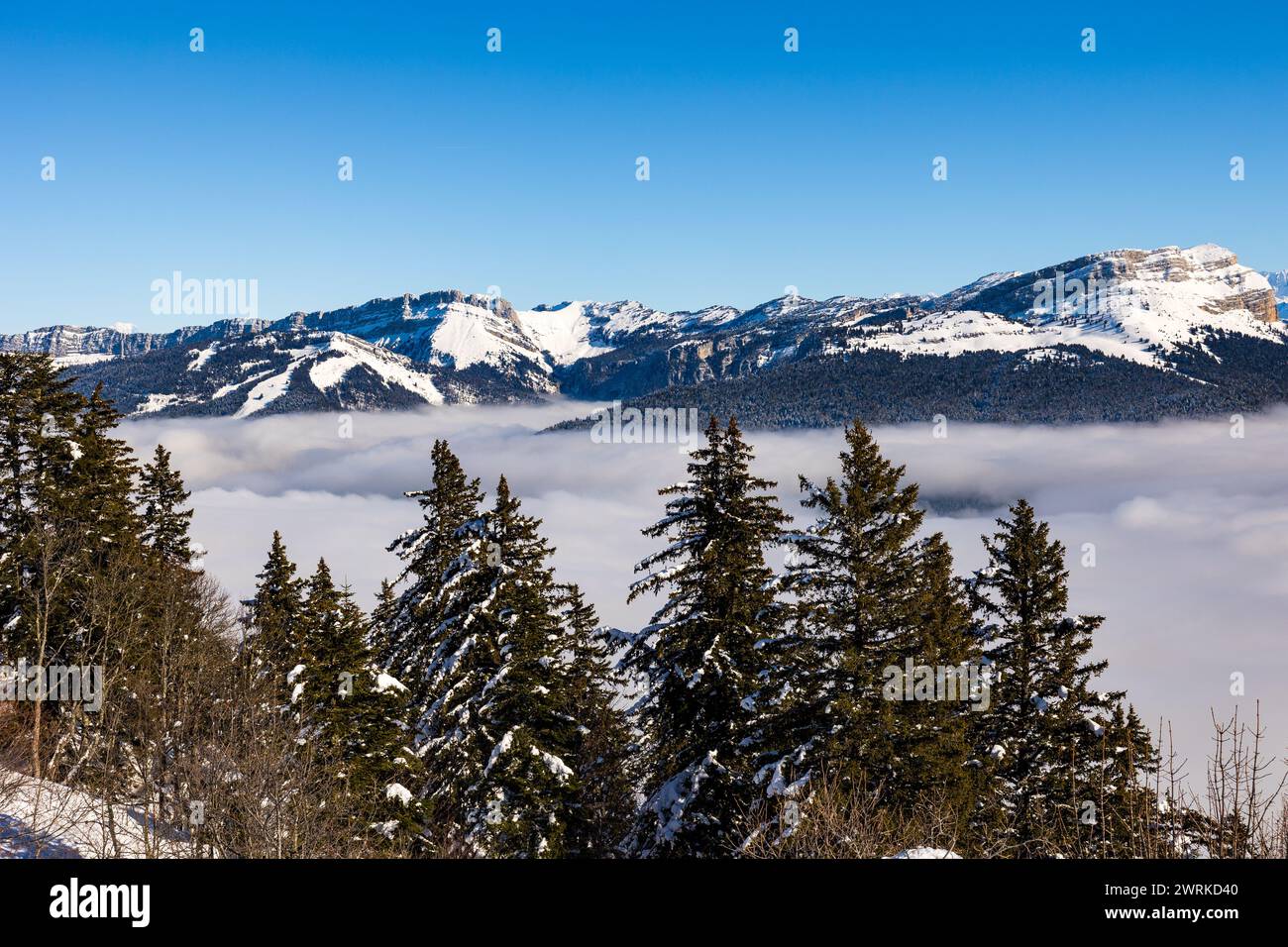Mer de nuages sur le Massif de la Chartreuse depuis le sommet enneigé ...