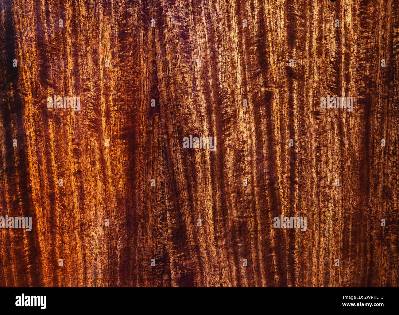 background of horizontal lacquered wooden planks slightly curved inward ...