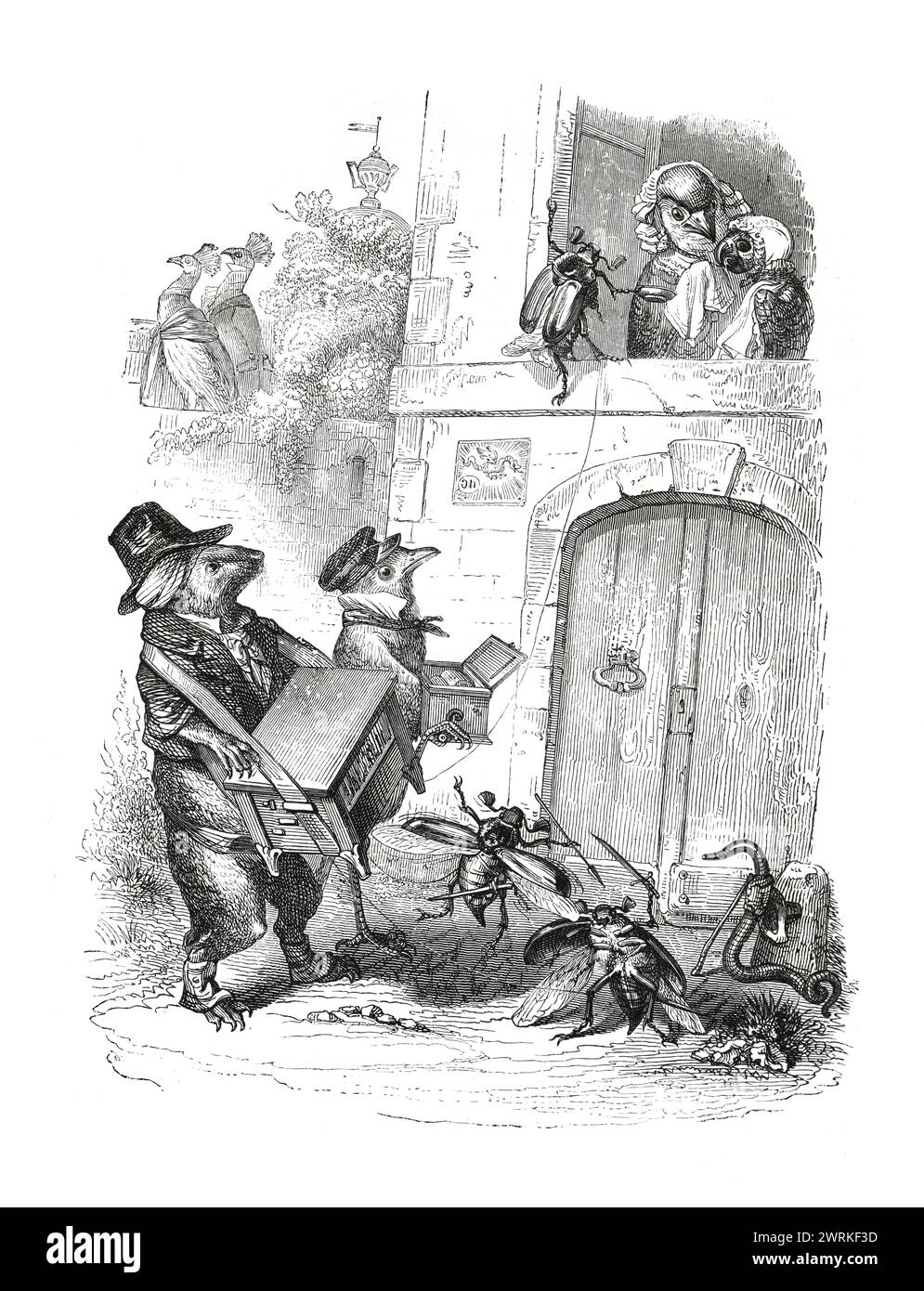 Cartoon chickens hi-res stock photography and images - Alamy