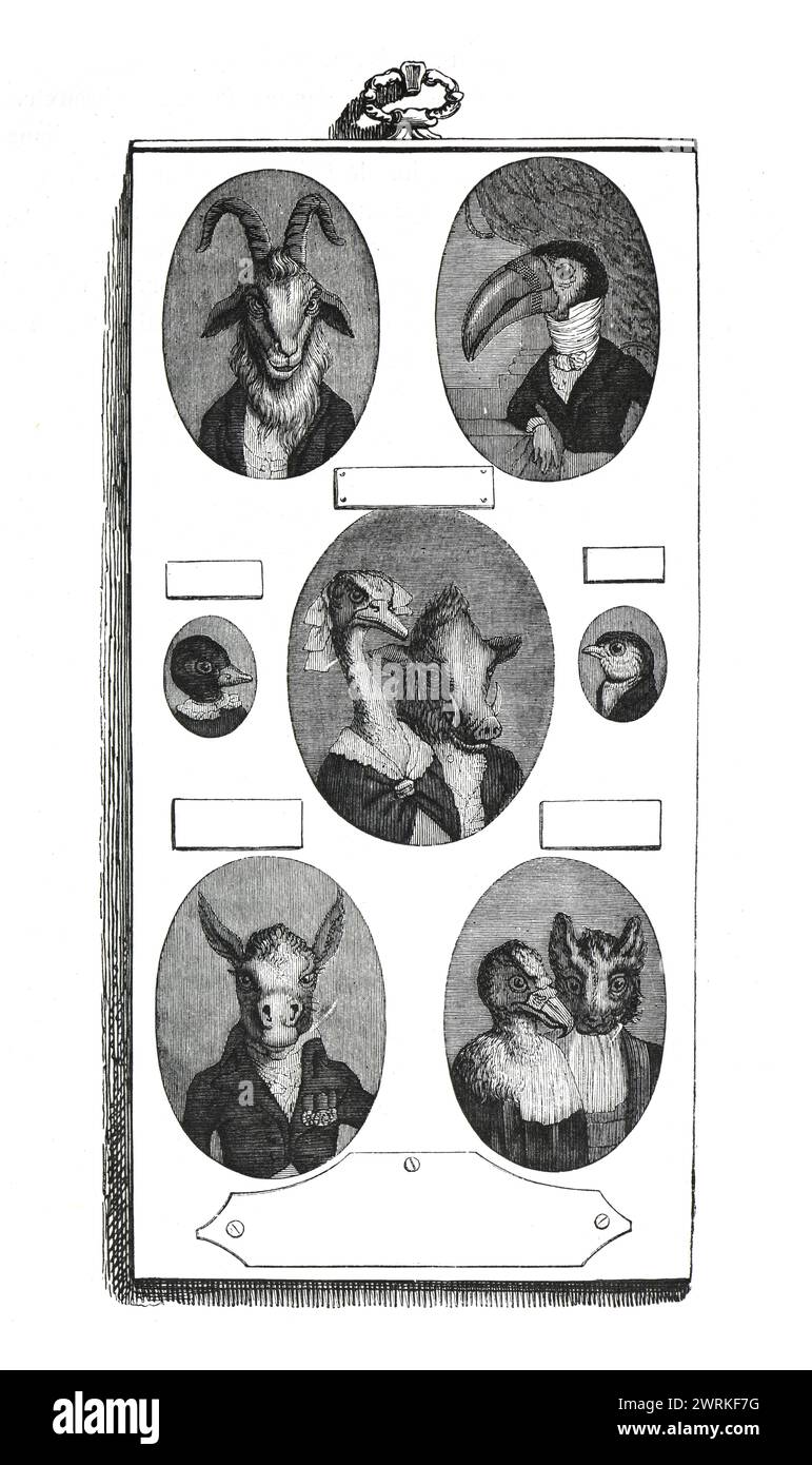 Anthropomorphic animals. humanized animals.Wall of fame with animals ...