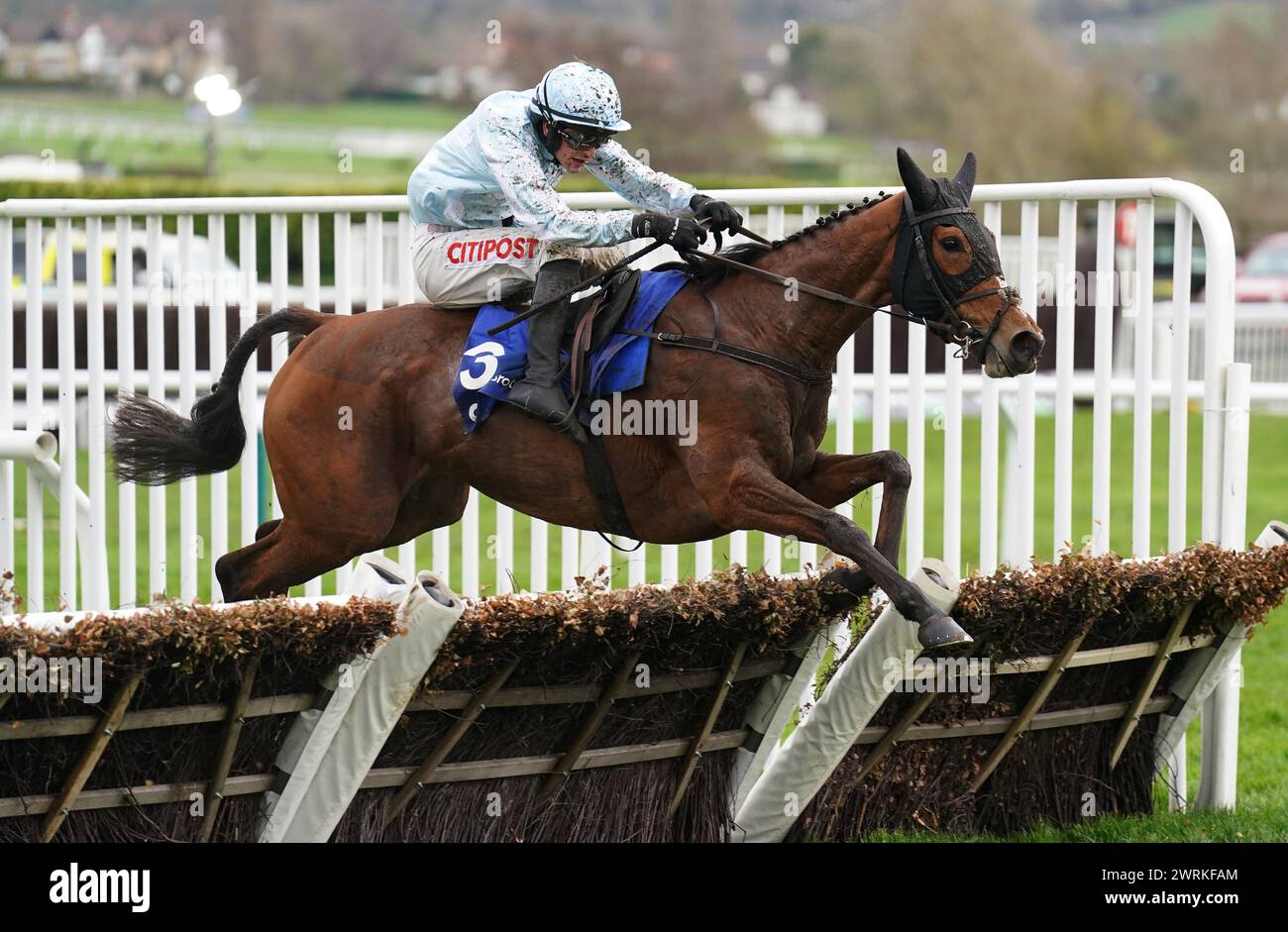 Gala marceau horse hi-res stock photography and images - Alamy