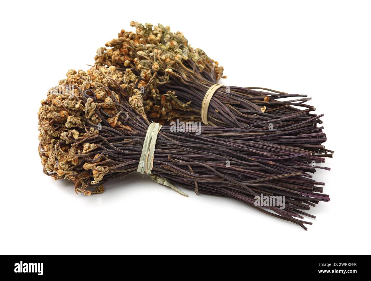 Dry fern bracken on white background Stock Photo - Alamy