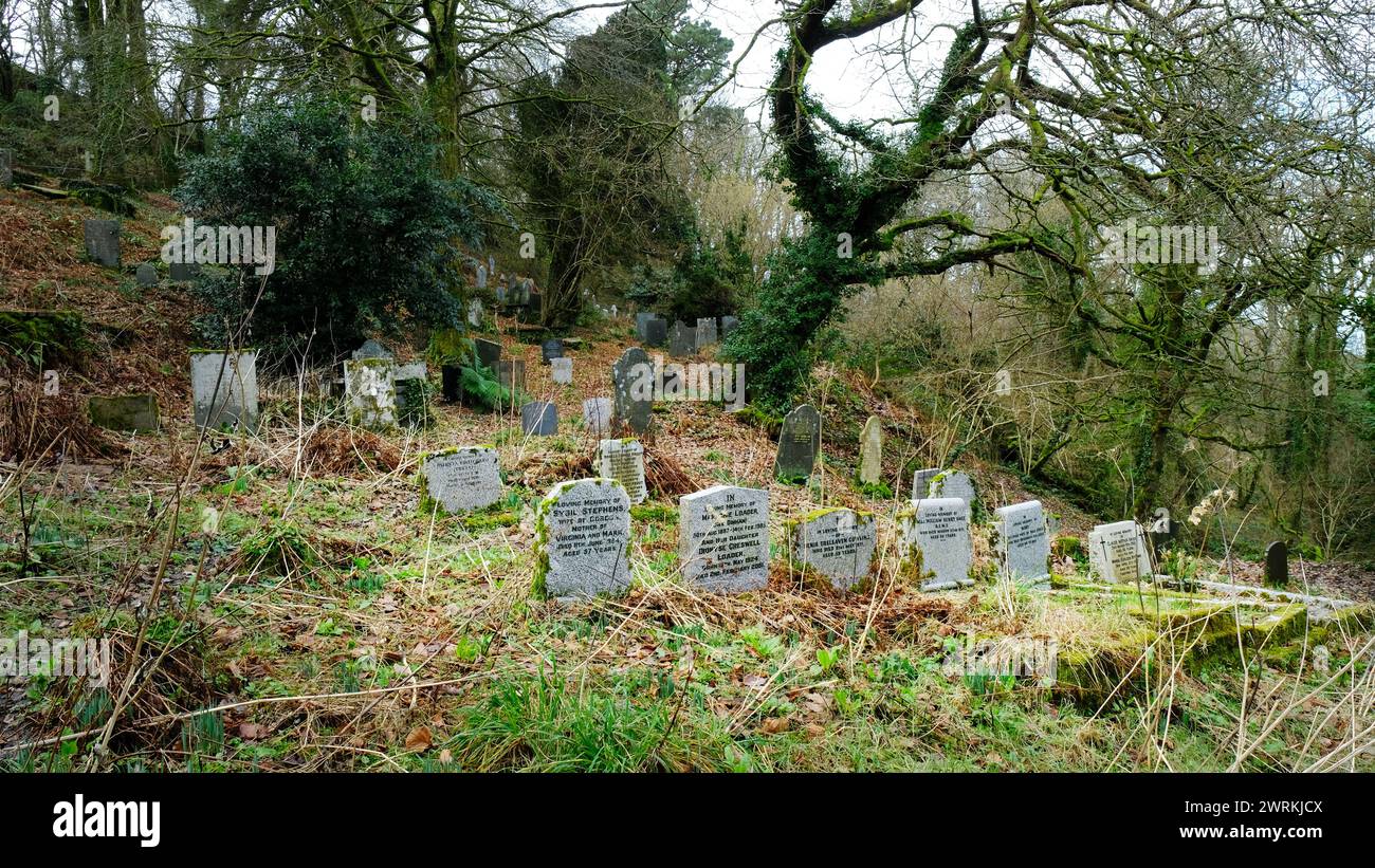 The graveyard at Minster Church, Boscastle, Cornwall, UK - John Gollop ...