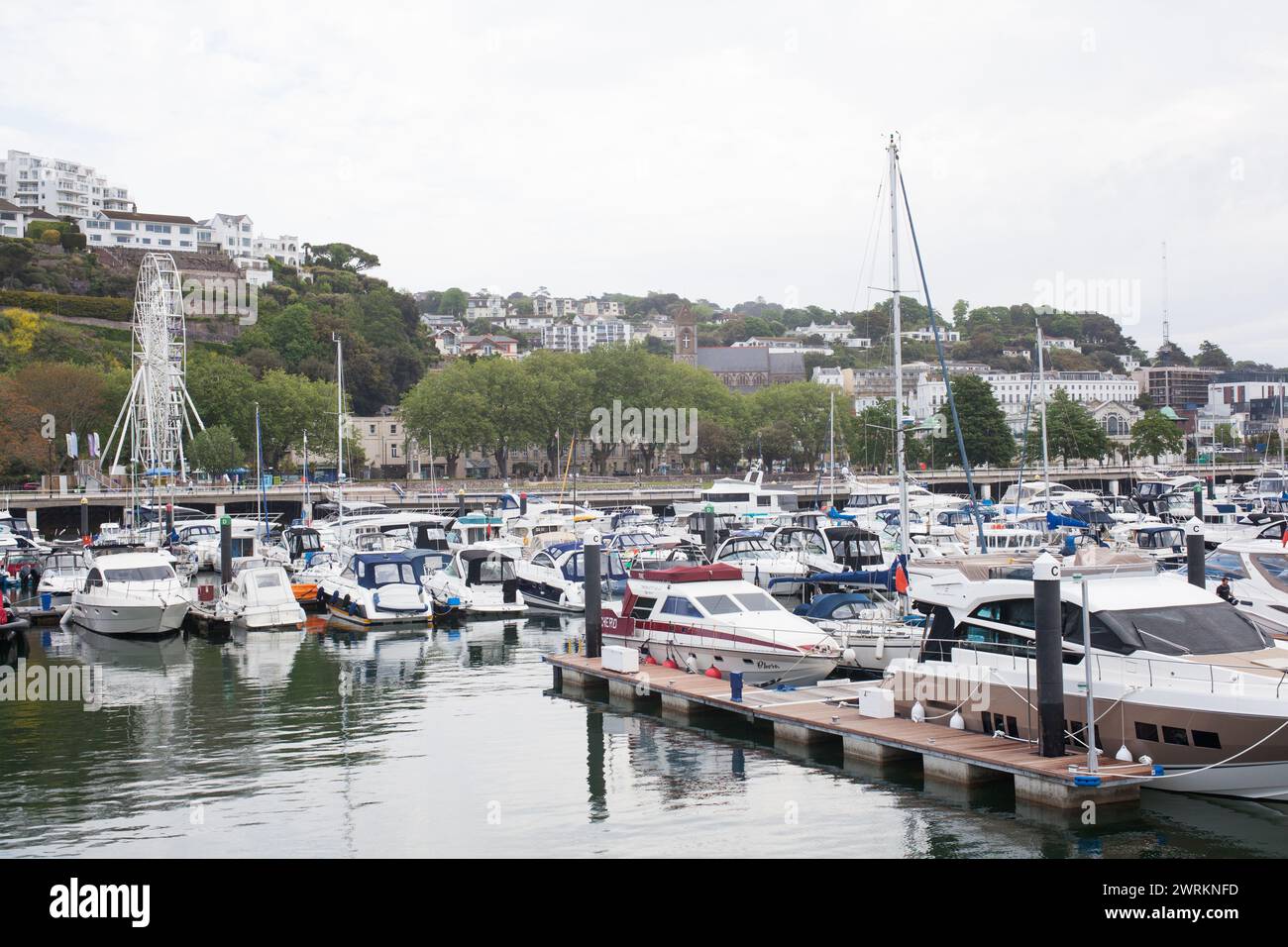 Views of the English Riviera Wheel, at the marina in Torquay, Torbay in ...