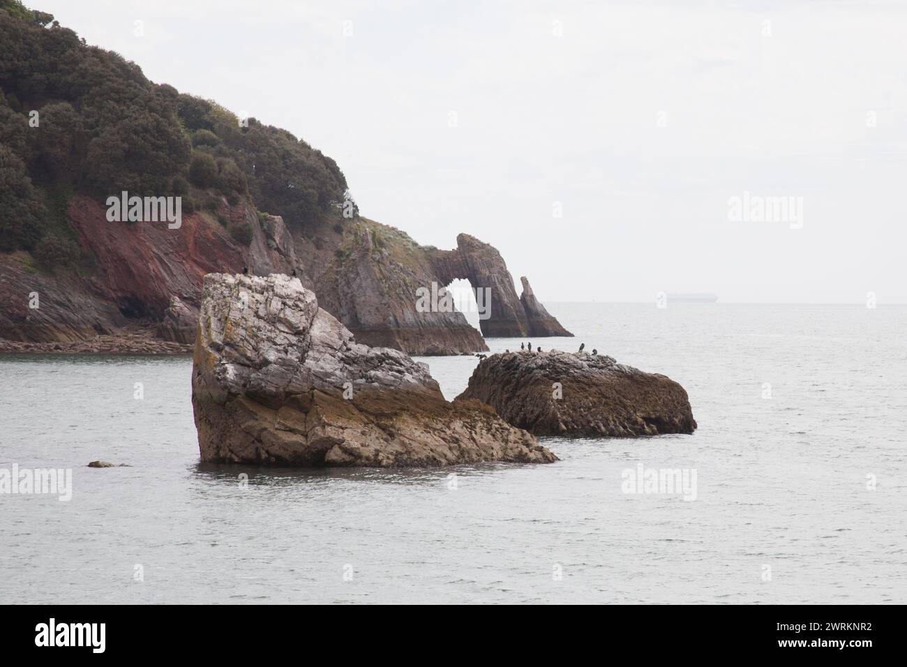 Protruding rocks and a cliff face in Torquay, Torbay, Devon in the UK ...