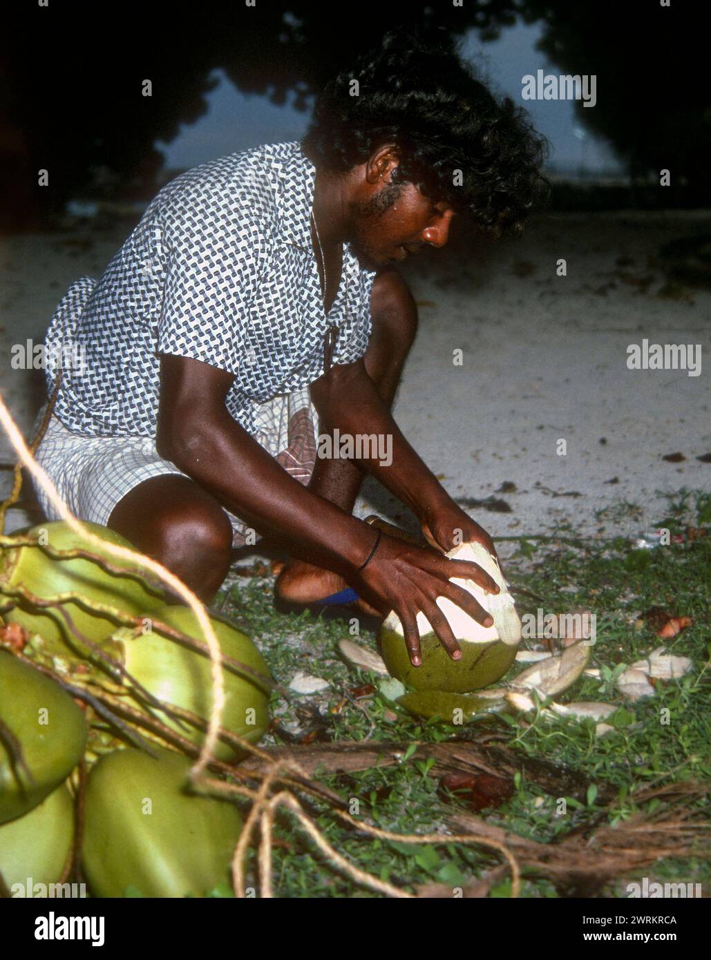Cutting coconuts at Kurumba Island the maldives back in 1980 when the ...