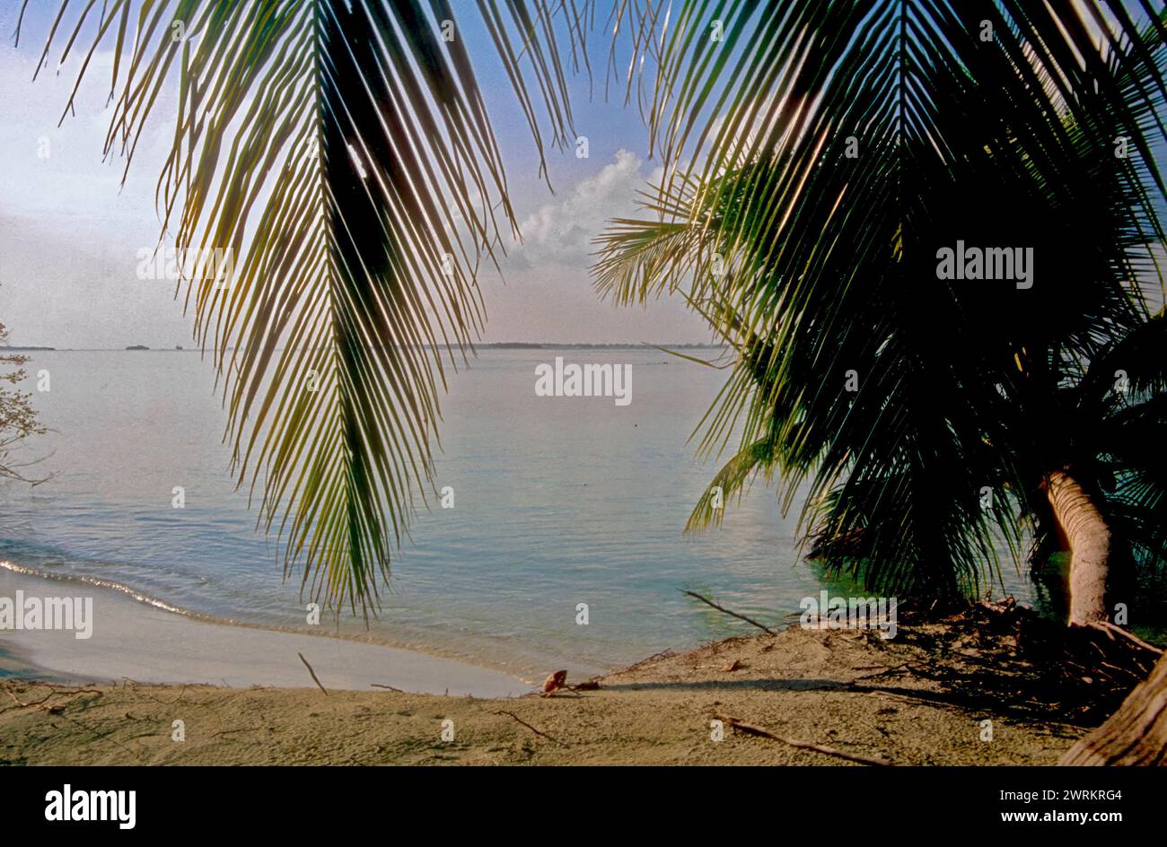 Beach of Kurumba Island, the Maldives, back in 1980 when the area was ...
