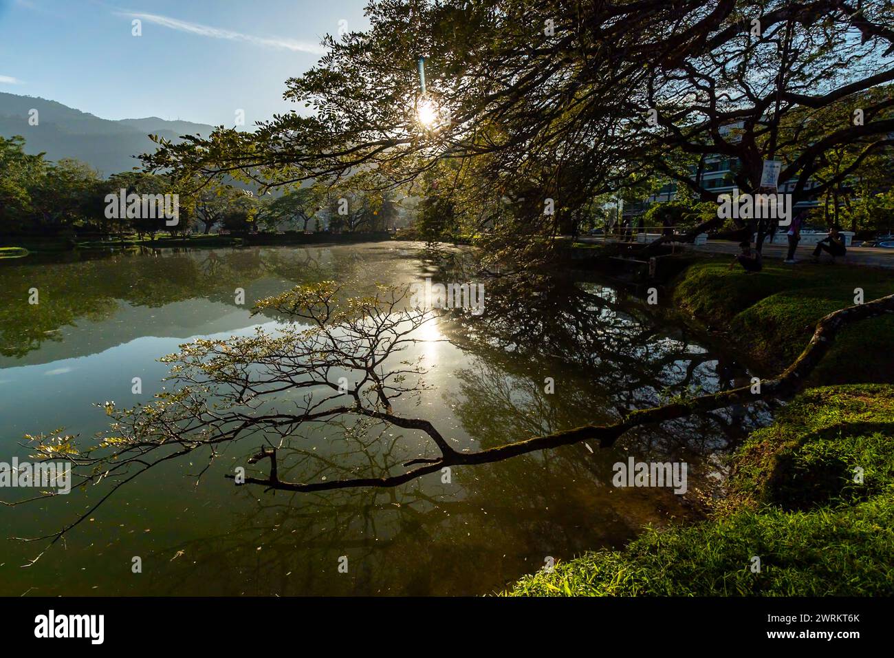 Taiping Lake Garden located at Taiping city of Perak, Malaysia Stock ...