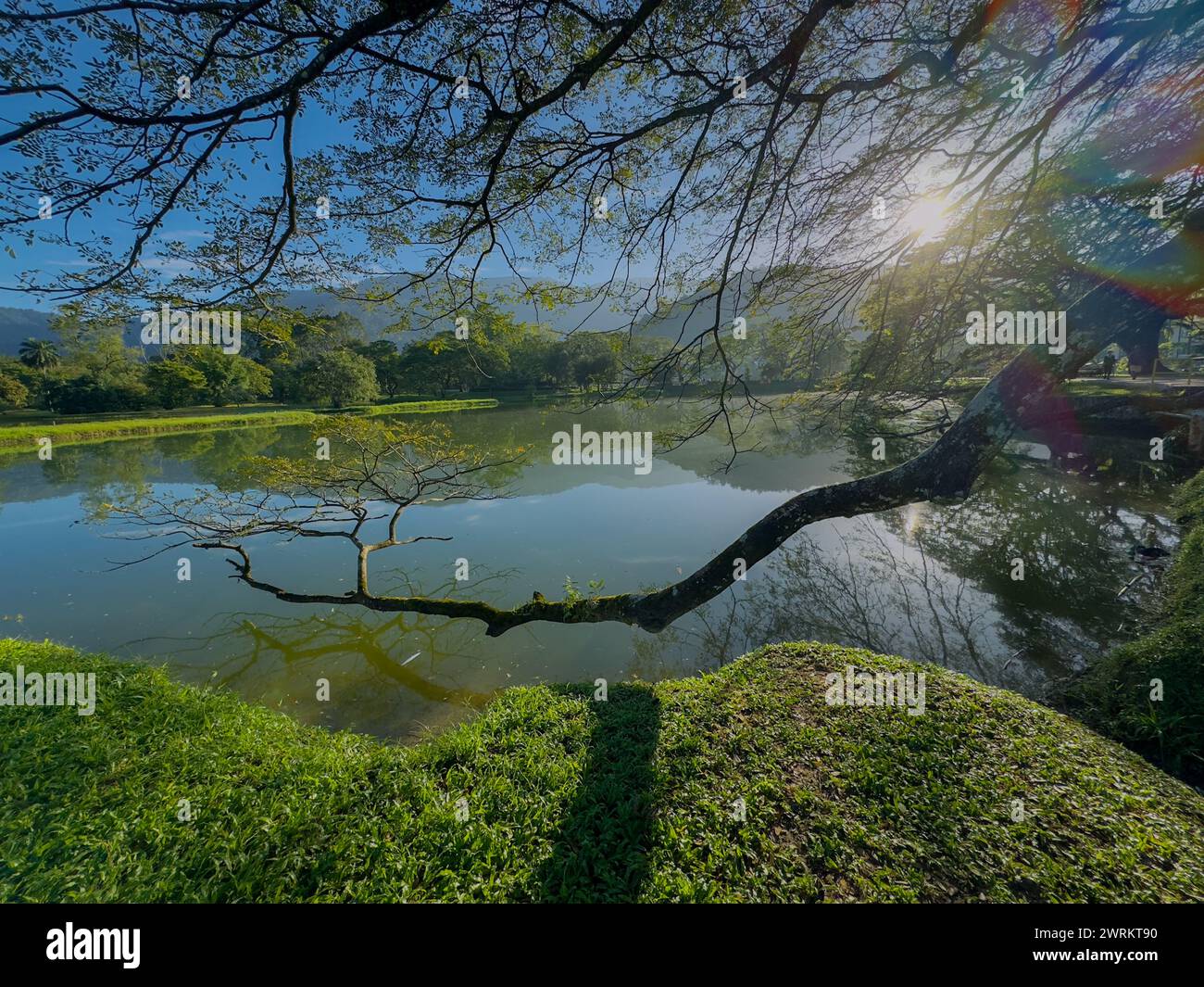 Taiping Lake Garden located at Taiping city of Perak, Malaysia Stock ...