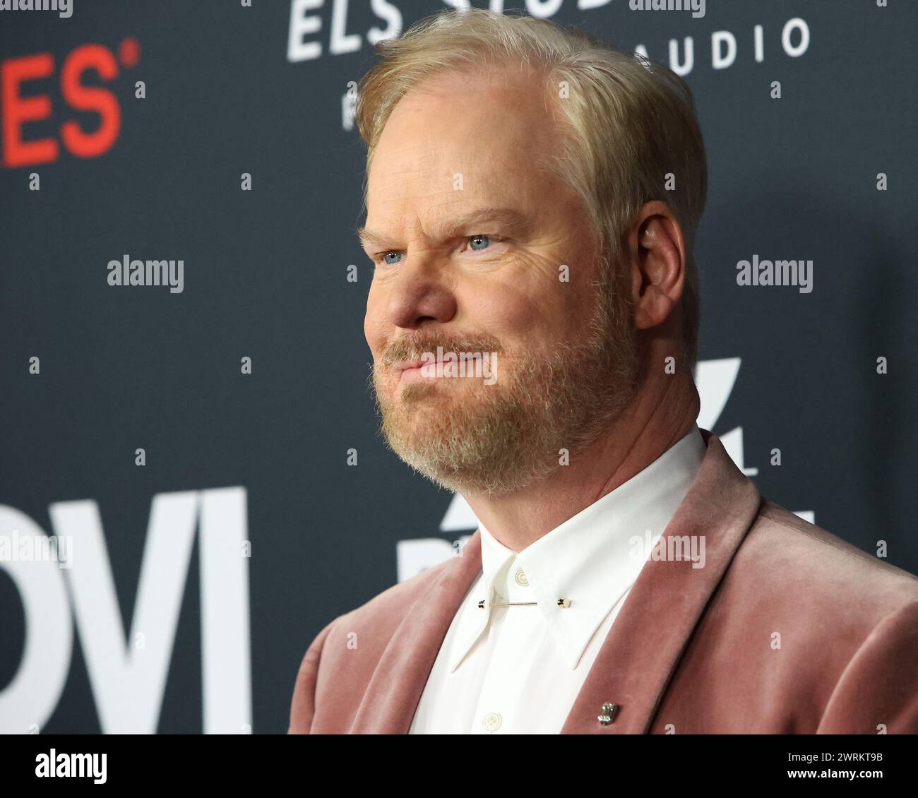 LOS ANGELES - FEB 2: Jim Gaffigan at the 2024 MusiCares Person of the ...