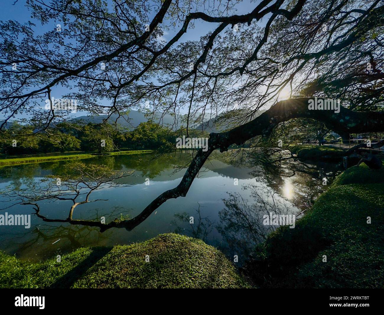 Taiping Lake Garden located at Taiping city of Perak, Malaysia Stock ...