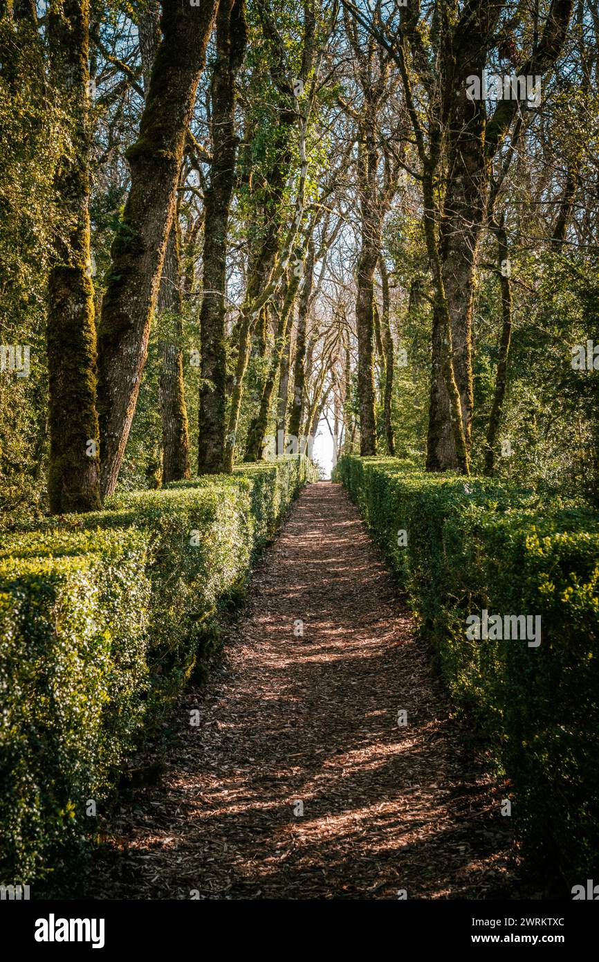 Vézac, Nouvelle-Aquitaine, France - 7th March 2024 - A tree-lined path ...