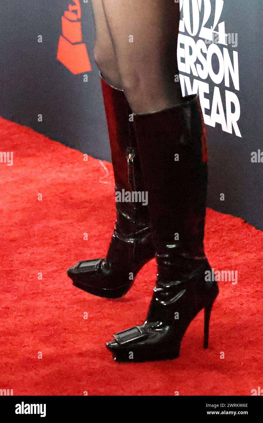 LOS ANGELES - FEB 2: Shania Twain at the 2024 MusiCares Person of the ...