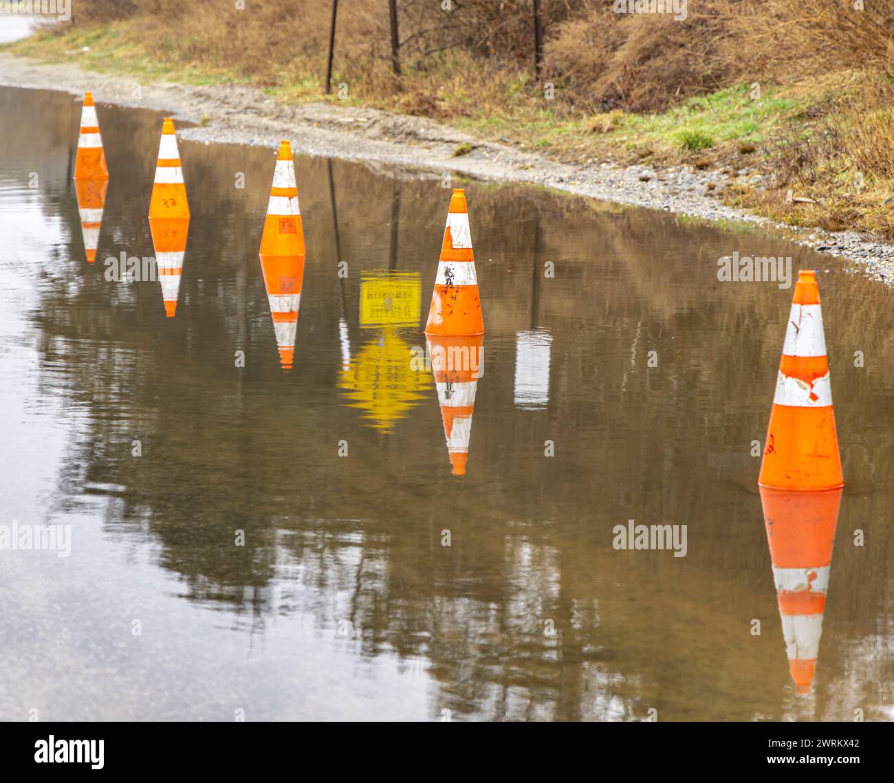 line of orange traffic cones in a water puddle Stock Photo - Alamy