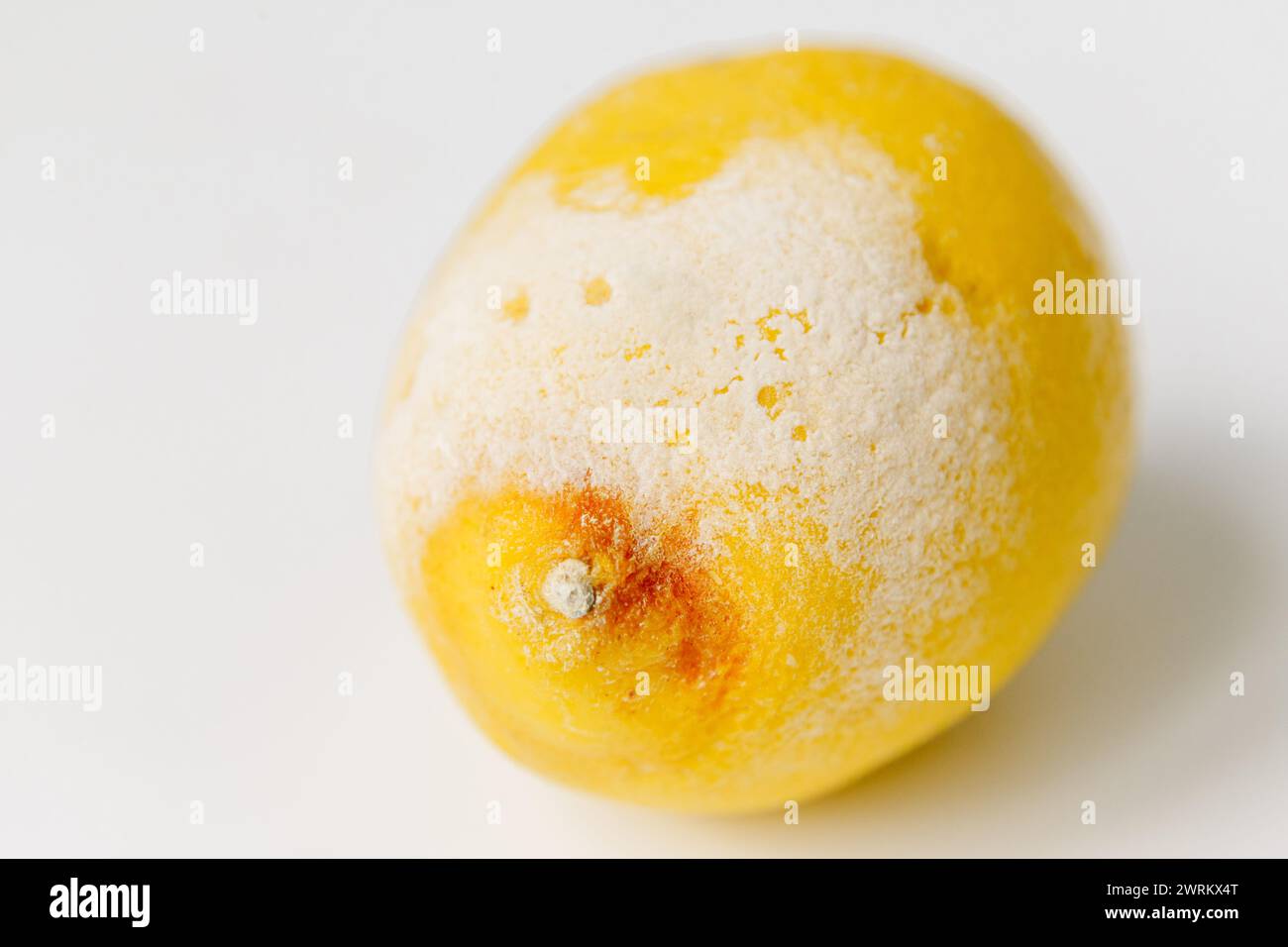 Lemons mould hi-res stock photography and images - Alamy
