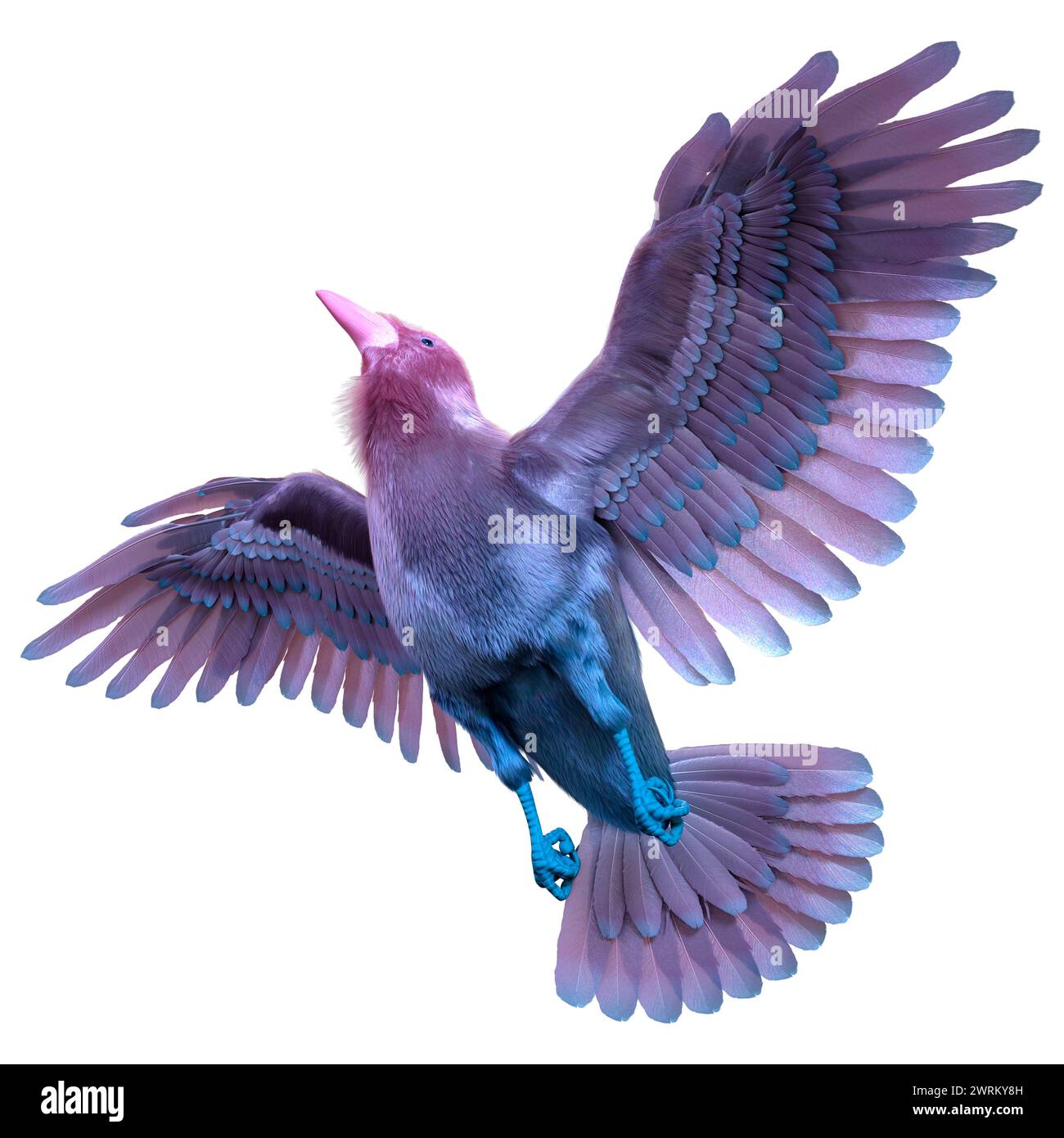3D rendering of a pink crow isolated on white background Stock Photo ...