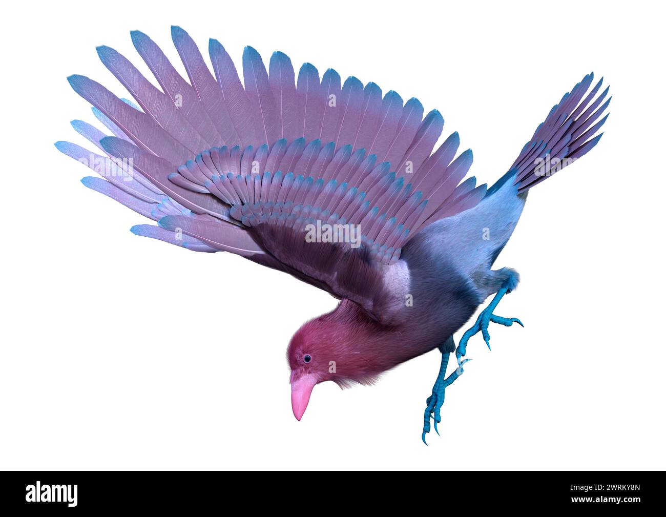 3D rendering of a pink crow isolated on white background Stock Photo ...