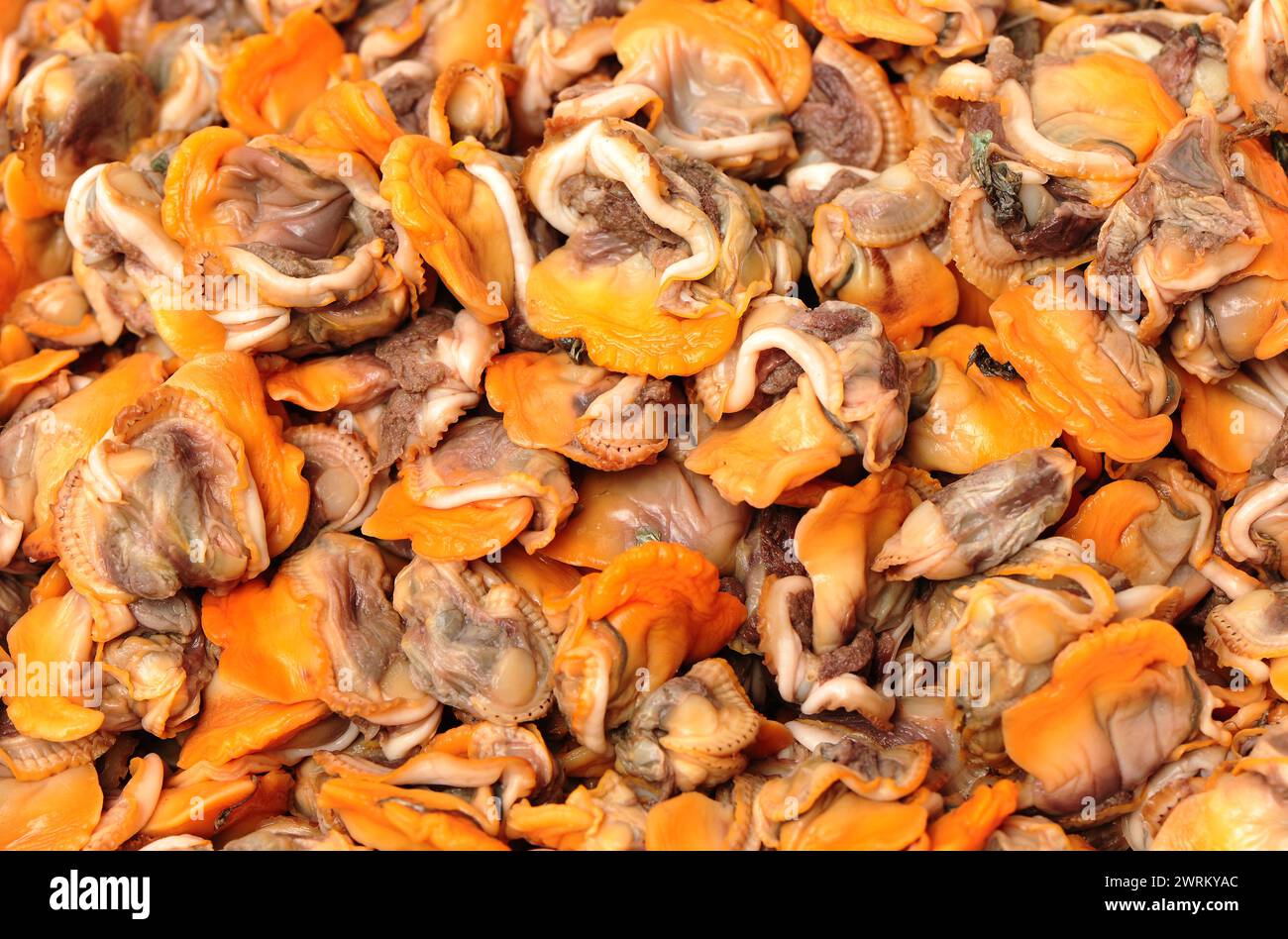 Fresh boiled cockle meat on white background Stock Photo - Alamy