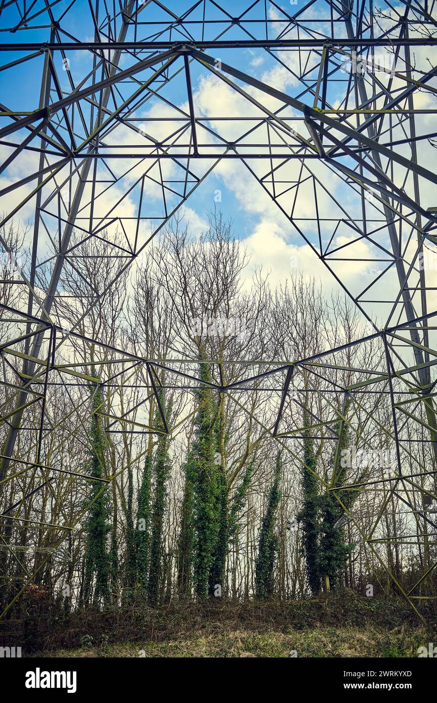Pylon trees woods hi-res stock photography and images - Alamy