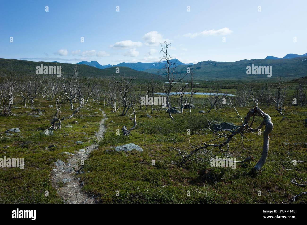 Hiking trail in Abisko National Park in Lapland. Arctic nature of ...