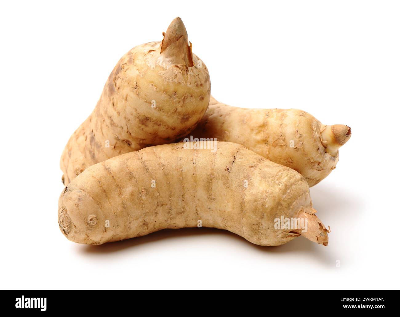 Fresh Gastrodia elata blume on white background Stock Photo - Alamy