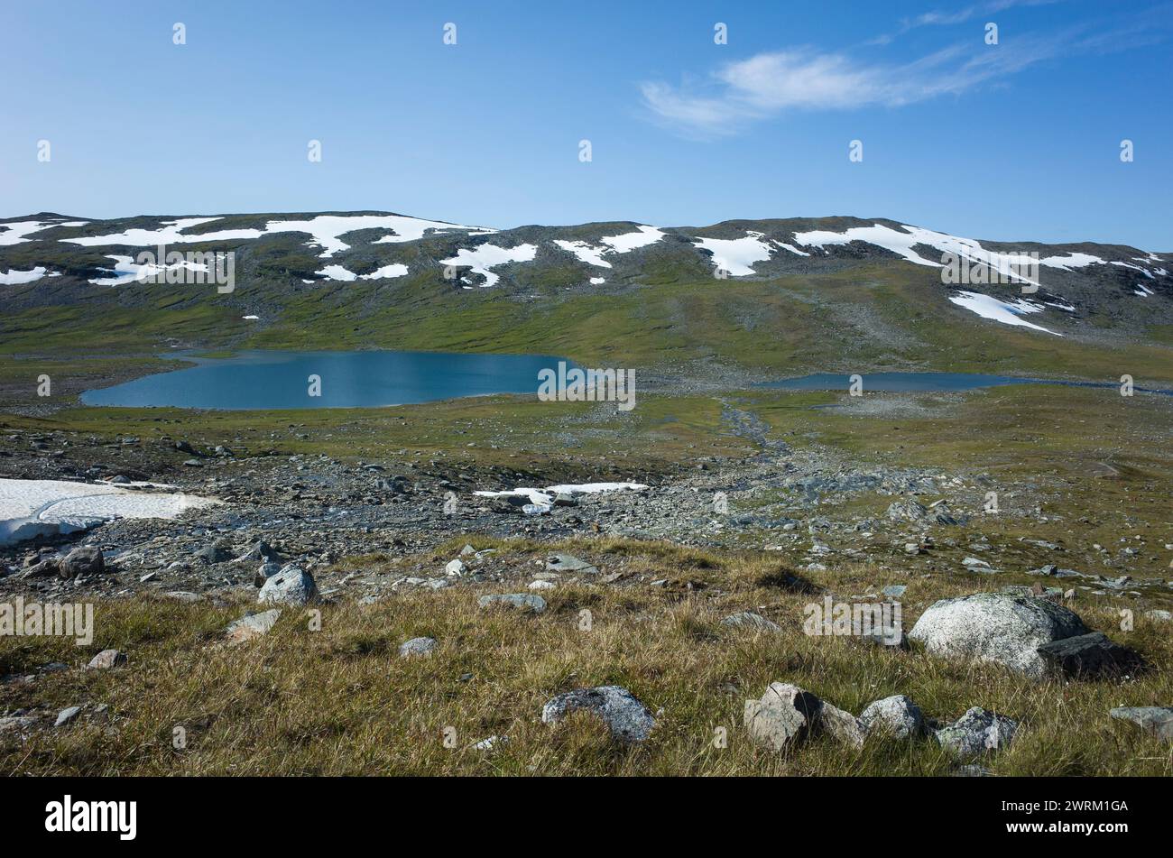 Swedish Lapland landscape with stones, snow and fragile vegetation ...