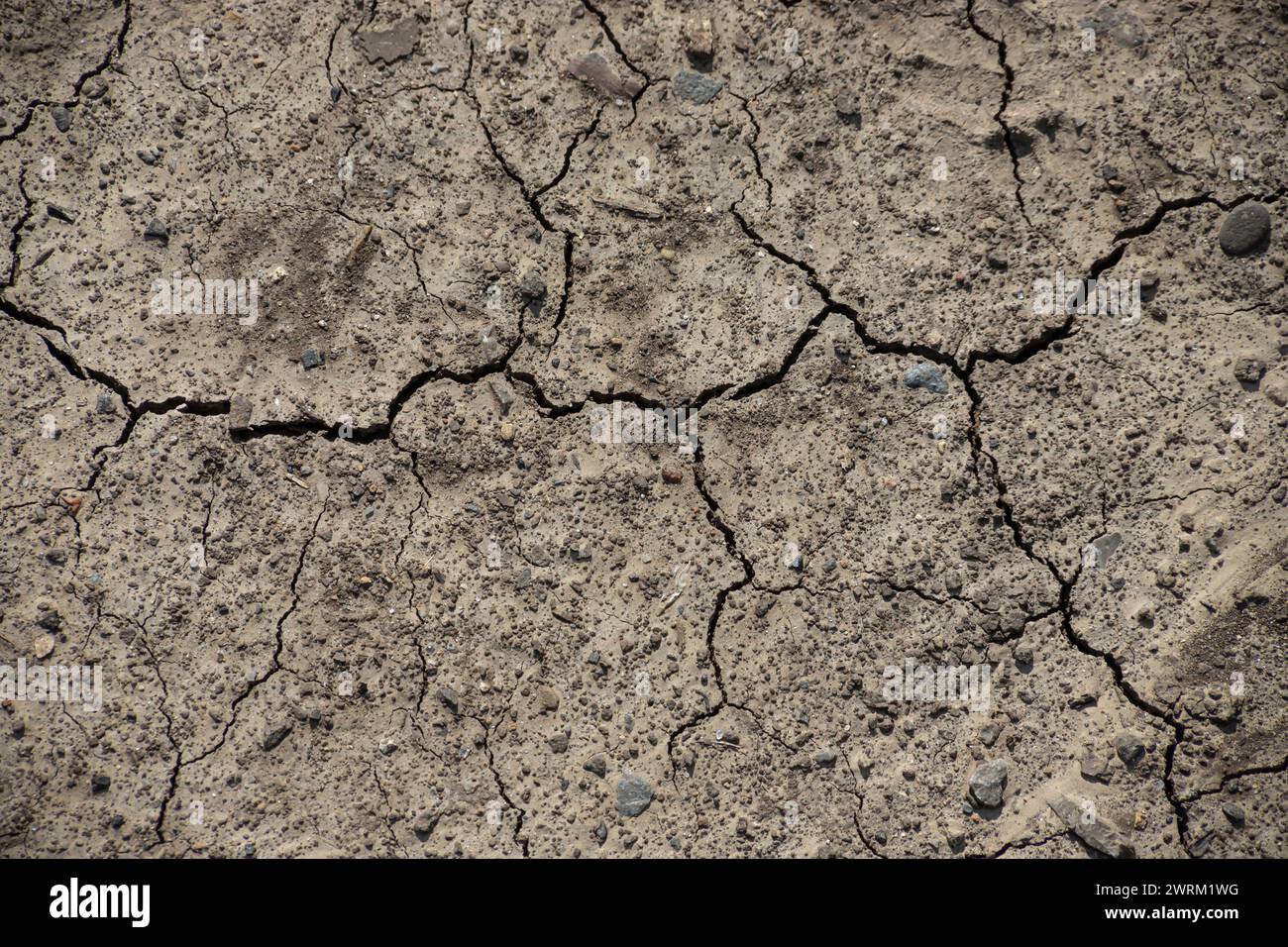 Dry, cracked dirt texture for creative background Stock Photo - Alamy