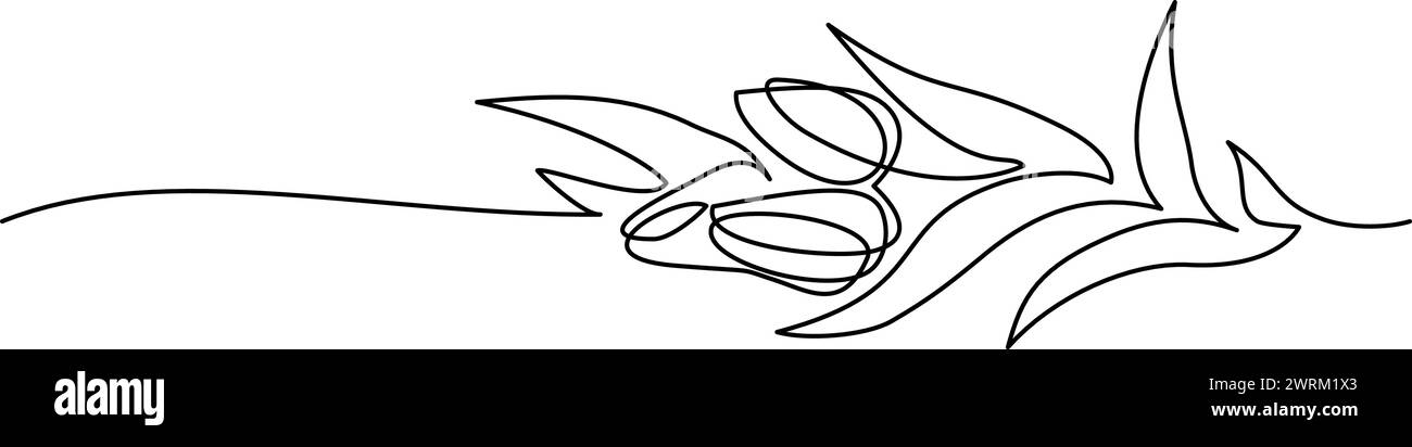 Spring Tulips flowers decoration row border. Continuous one line ...