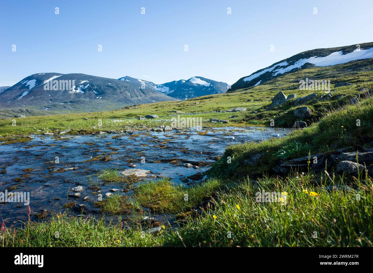 Swedish Lapland landscape with small river and green meadow. Arctic ...