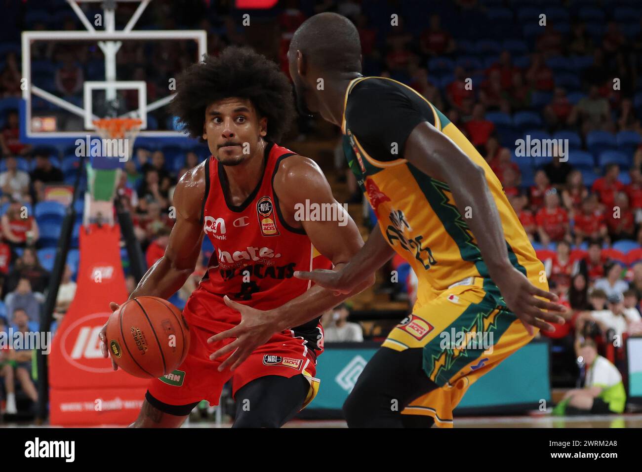 Perth, Australia. 13th Mar, 2024. Tai Webster of the Wildcats drives ...