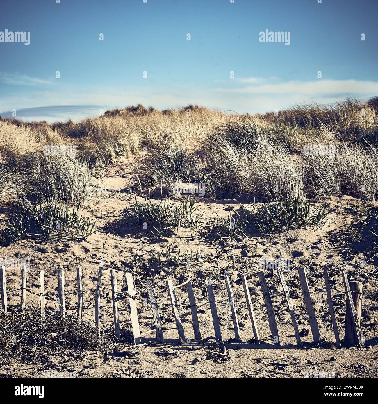 Sand dunes behind wooden fence on the Lancashire,coast Stock Photo - Alamy