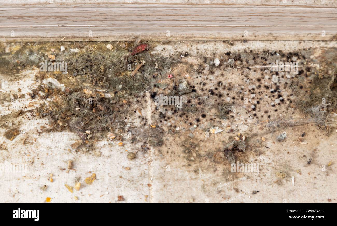 Sweep dirt hi-res stock photography and images - Alamy