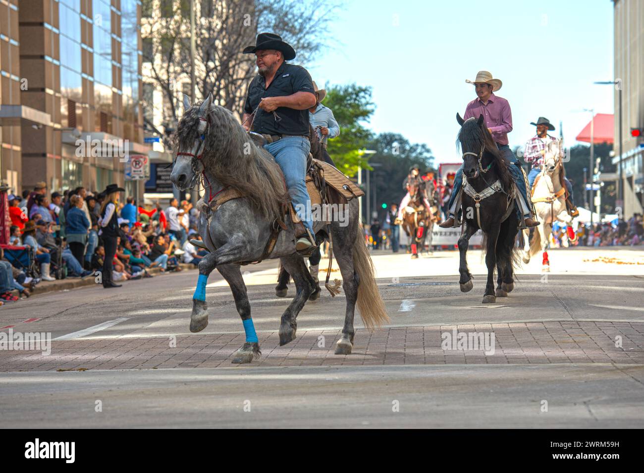 Rodeo parade in Houston Texas Stock Photo - Alamy