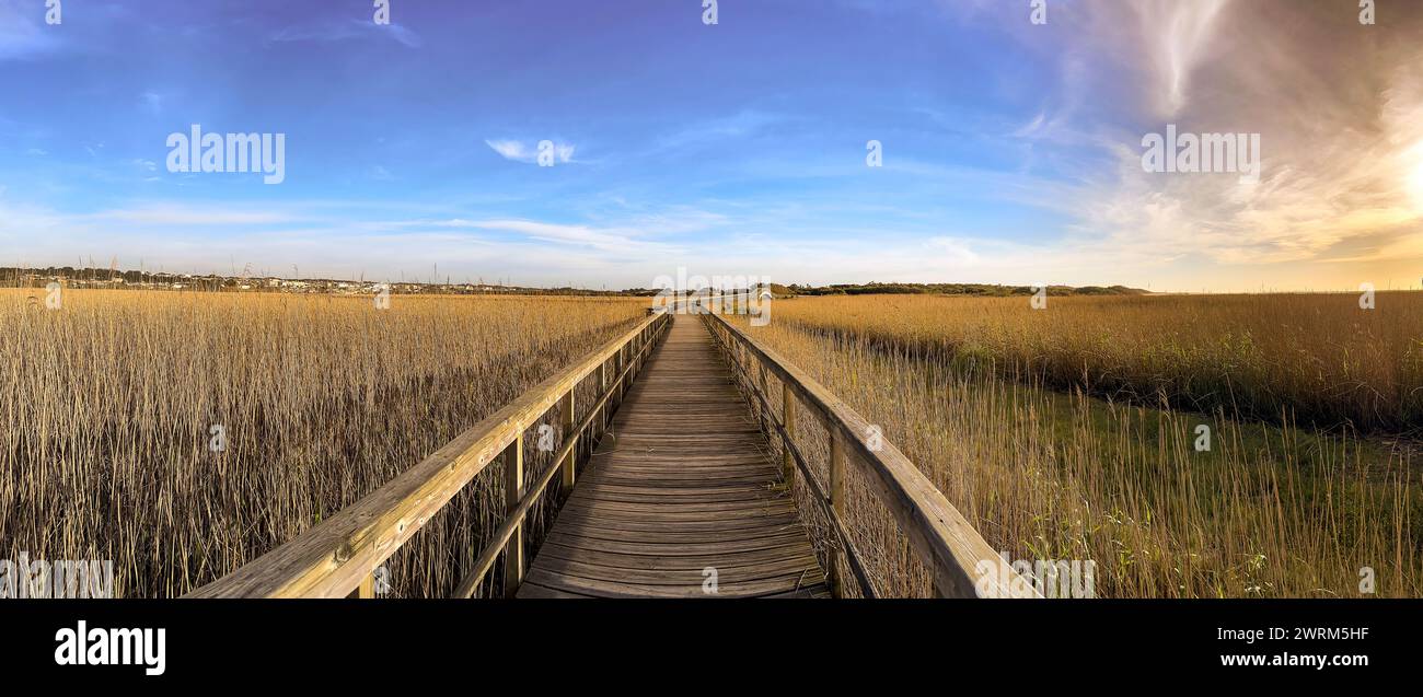 Wooden structure on the footbridges of Barrinha de Esmoriz with water ...