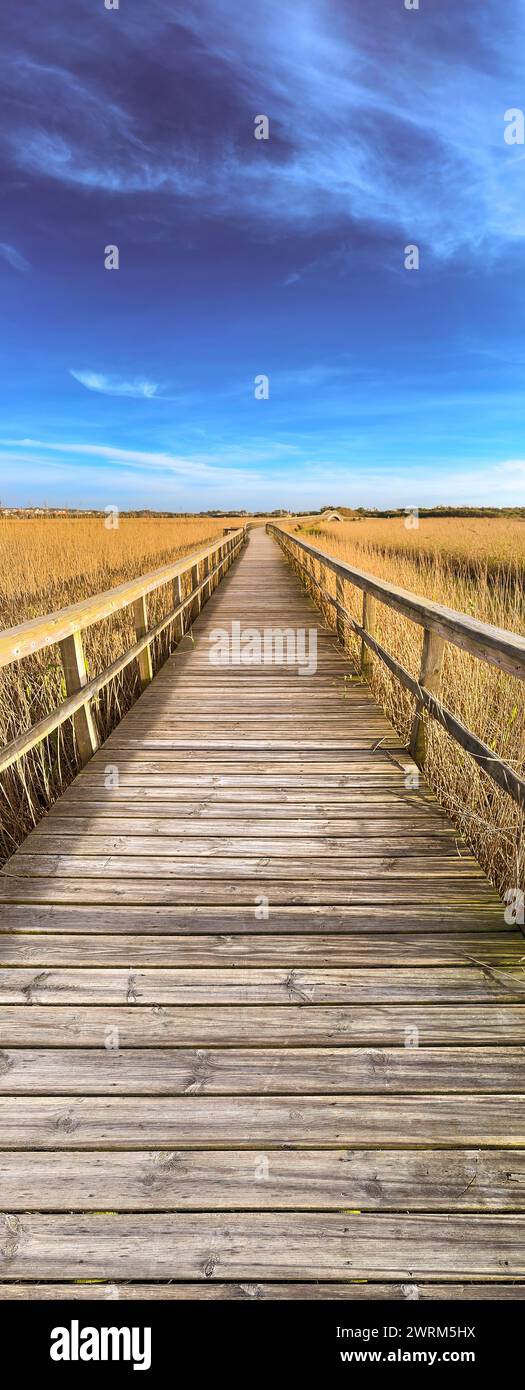 Wooden structure on the footbridges of Barrinha de Esmoriz with water ...