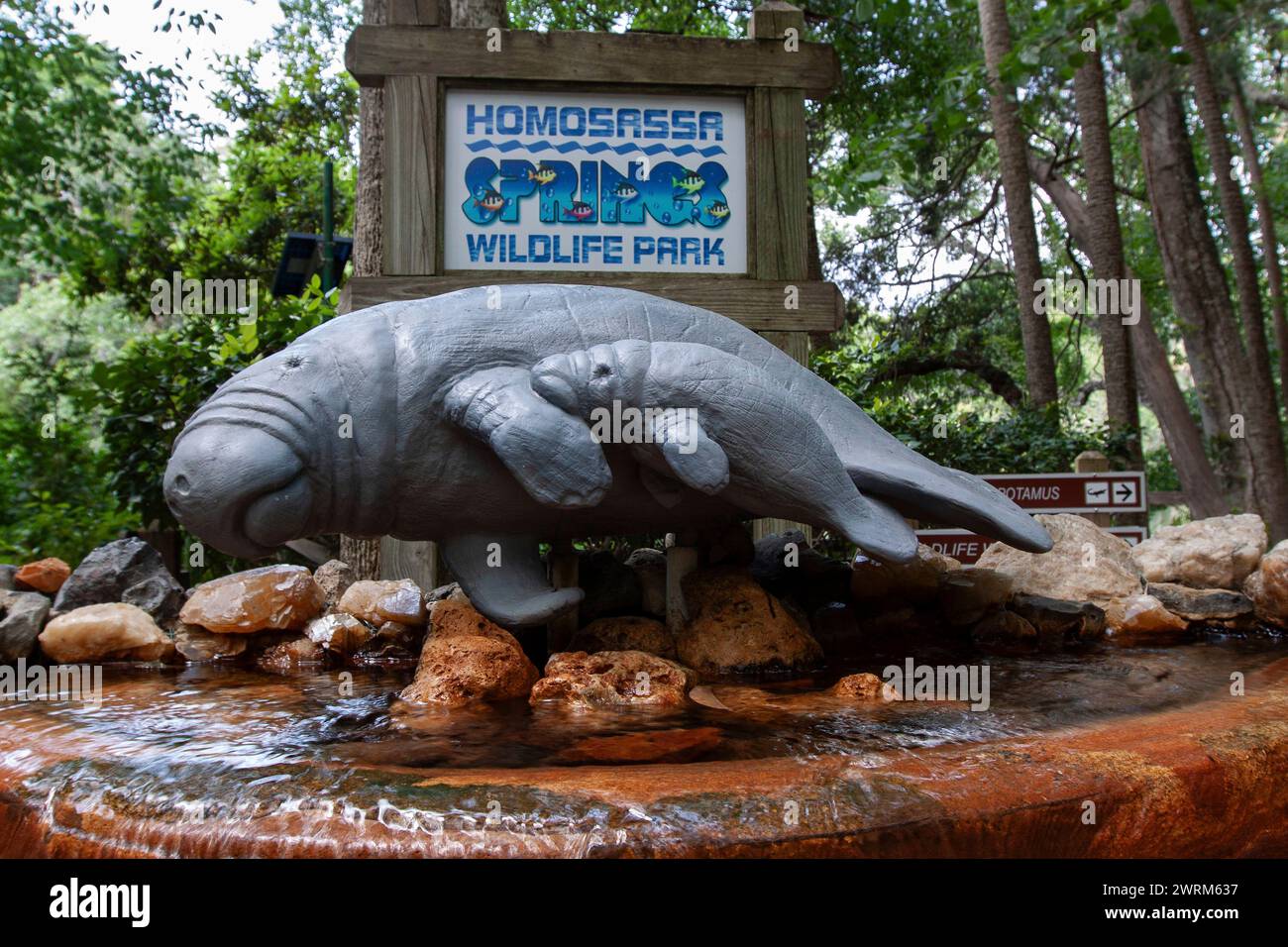 A statue of a Florida manatee at the entrance to the Ellie Schiller ...