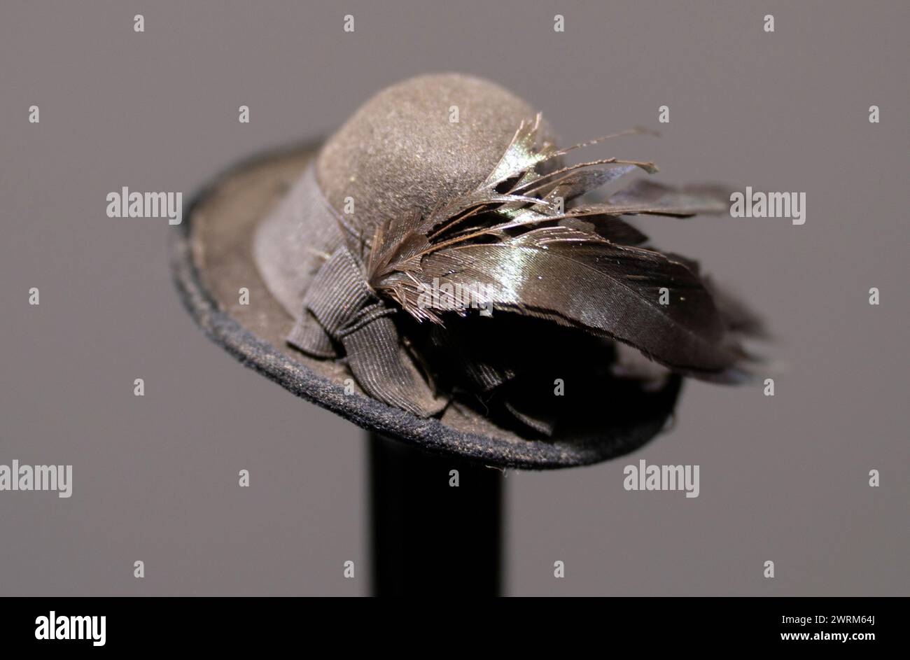 Millinery Museum Hats Off To Brighton Student's New Museum Exhibition