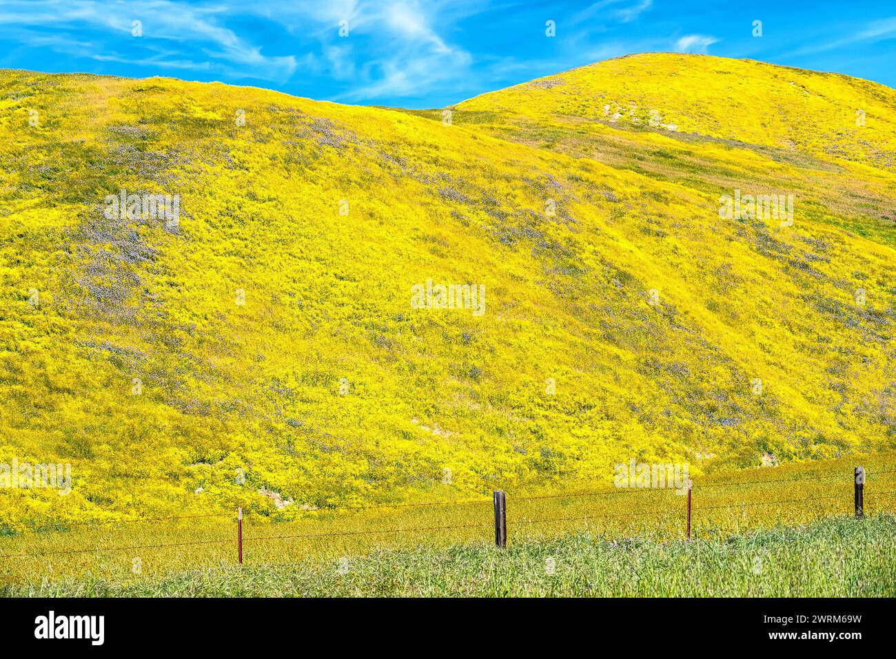 Natural california landscape carrizo plain hi-res stock photography and ...