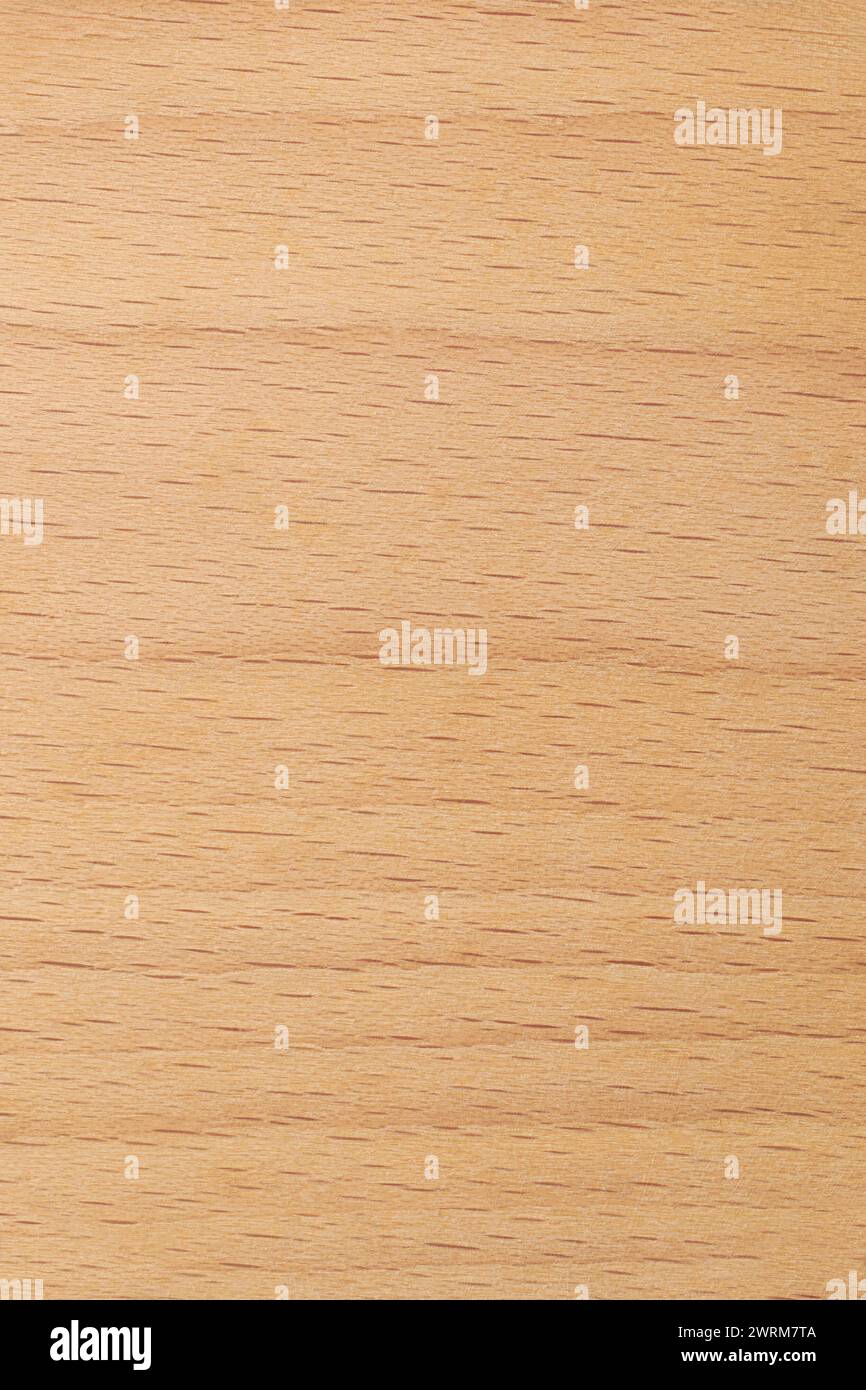 Cream color flooring hi-res stock photography and images - Alamy