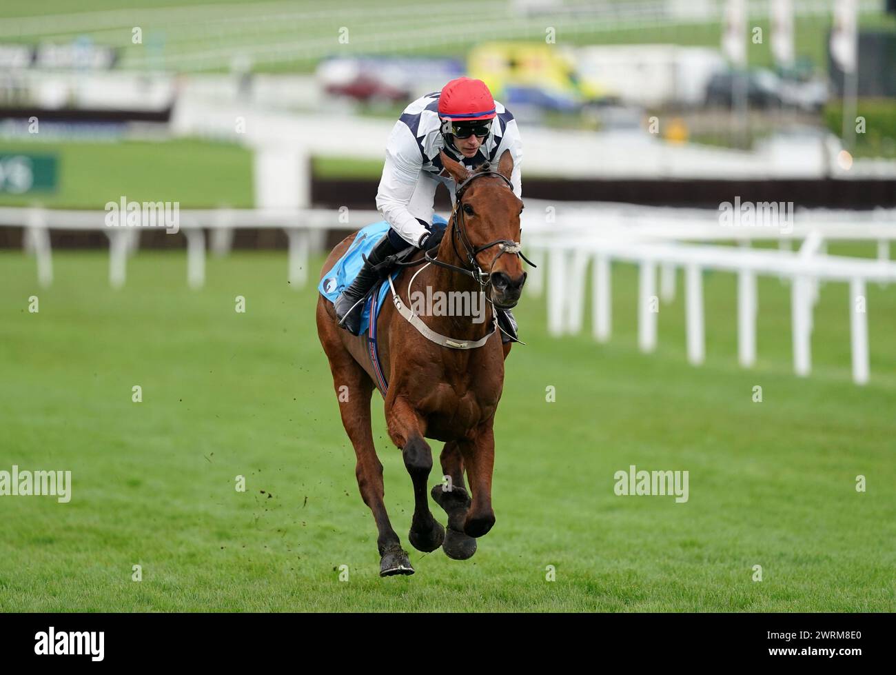 Ballyburn cheltenham hi-res stock photography and images - Alamy