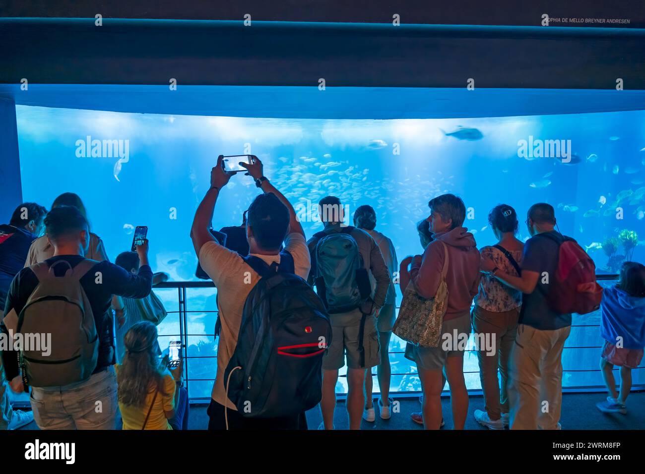 Lisbon Oceanarium and people watching marine life in big central aquarium in Lisbon, Portugal ...