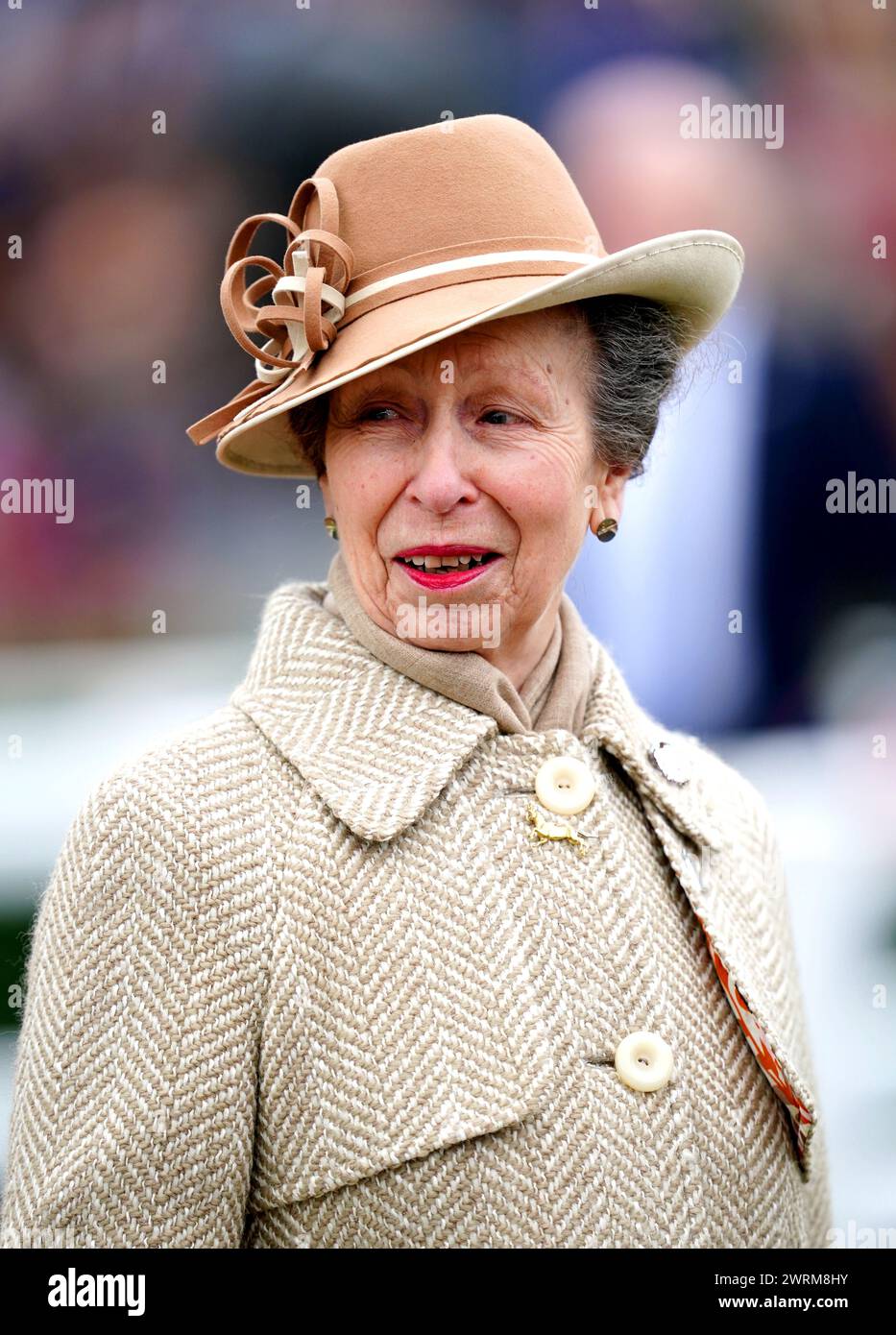 The Princess Royal on day two of the 2024 Cheltenham Festival at ...
